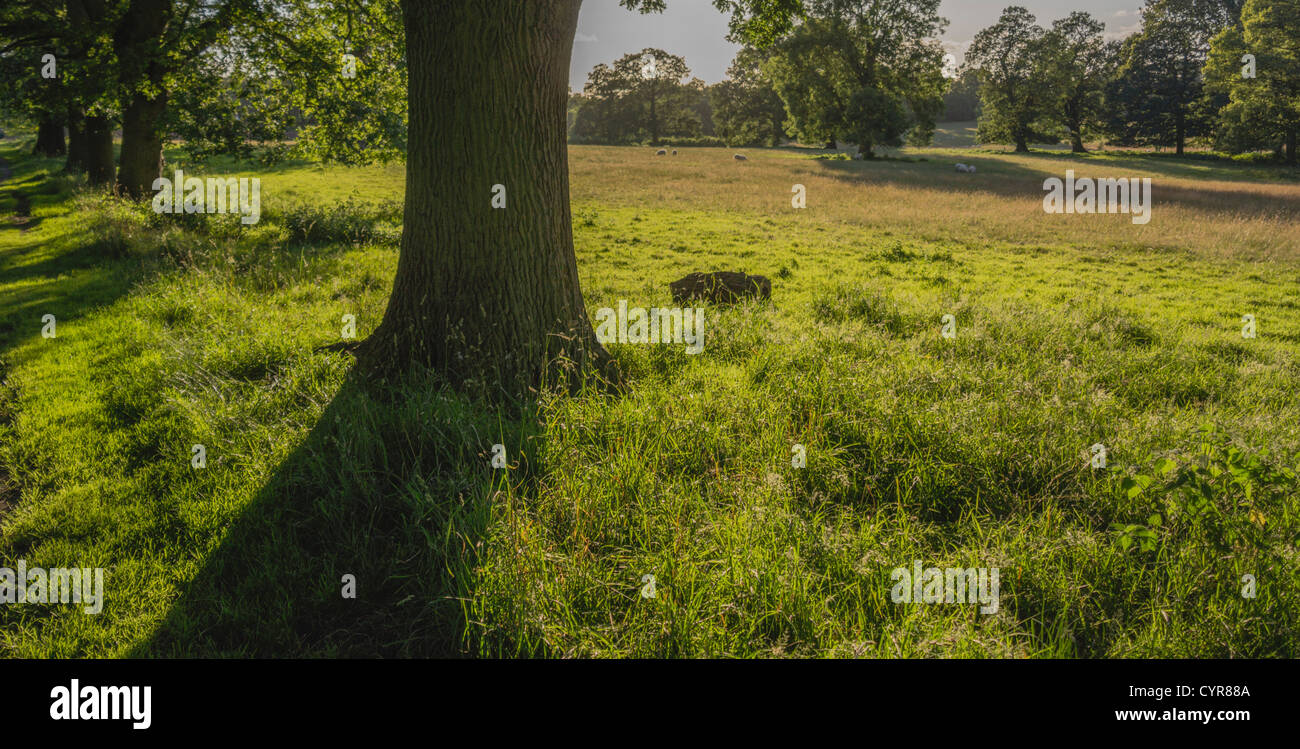 classic english countryside england uk Stock Photo - Alamy