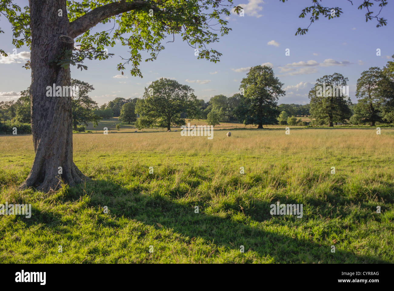 classic english countryside england uk Stock Photo - Alamy