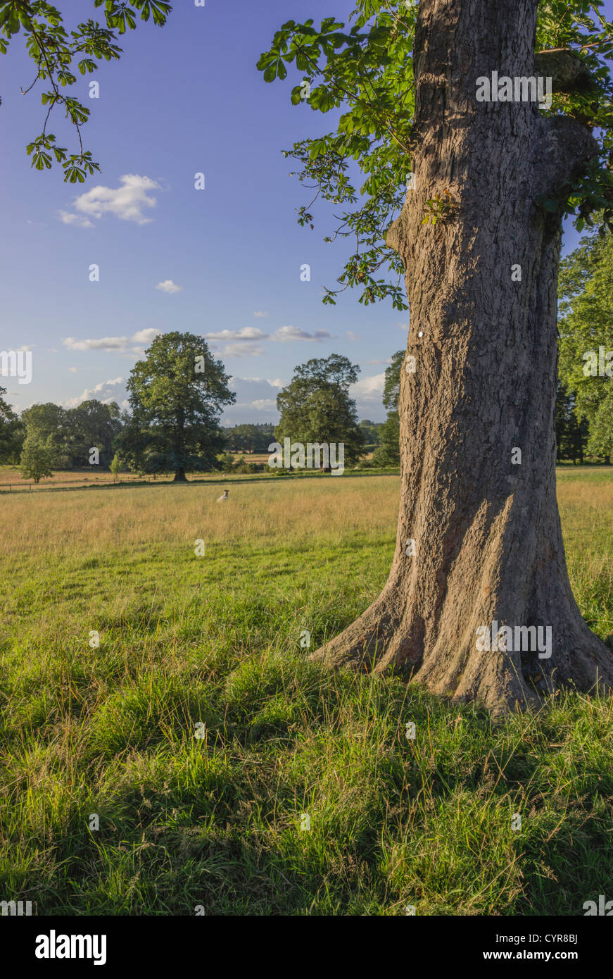 classic english countryside england uk Stock Photo - Alamy
