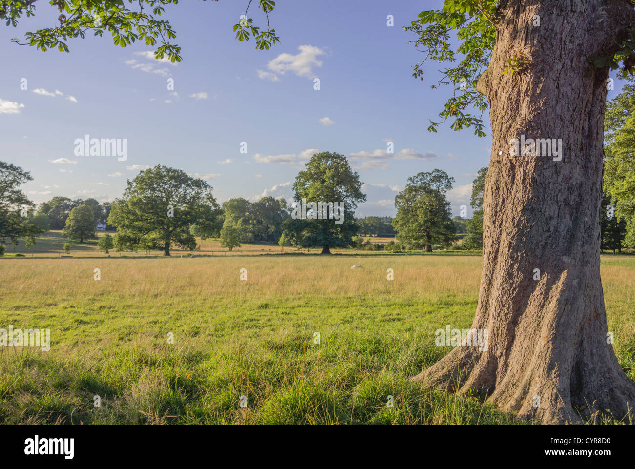 classic english countryside england uk Stock Photo - Alamy
