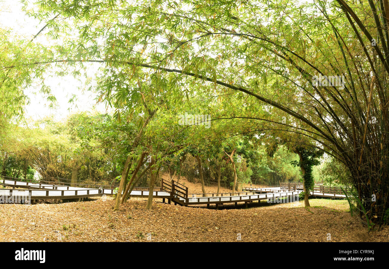 Panoramic bamboo garden of Chinese style in outdoor Stock Photo - Alamy