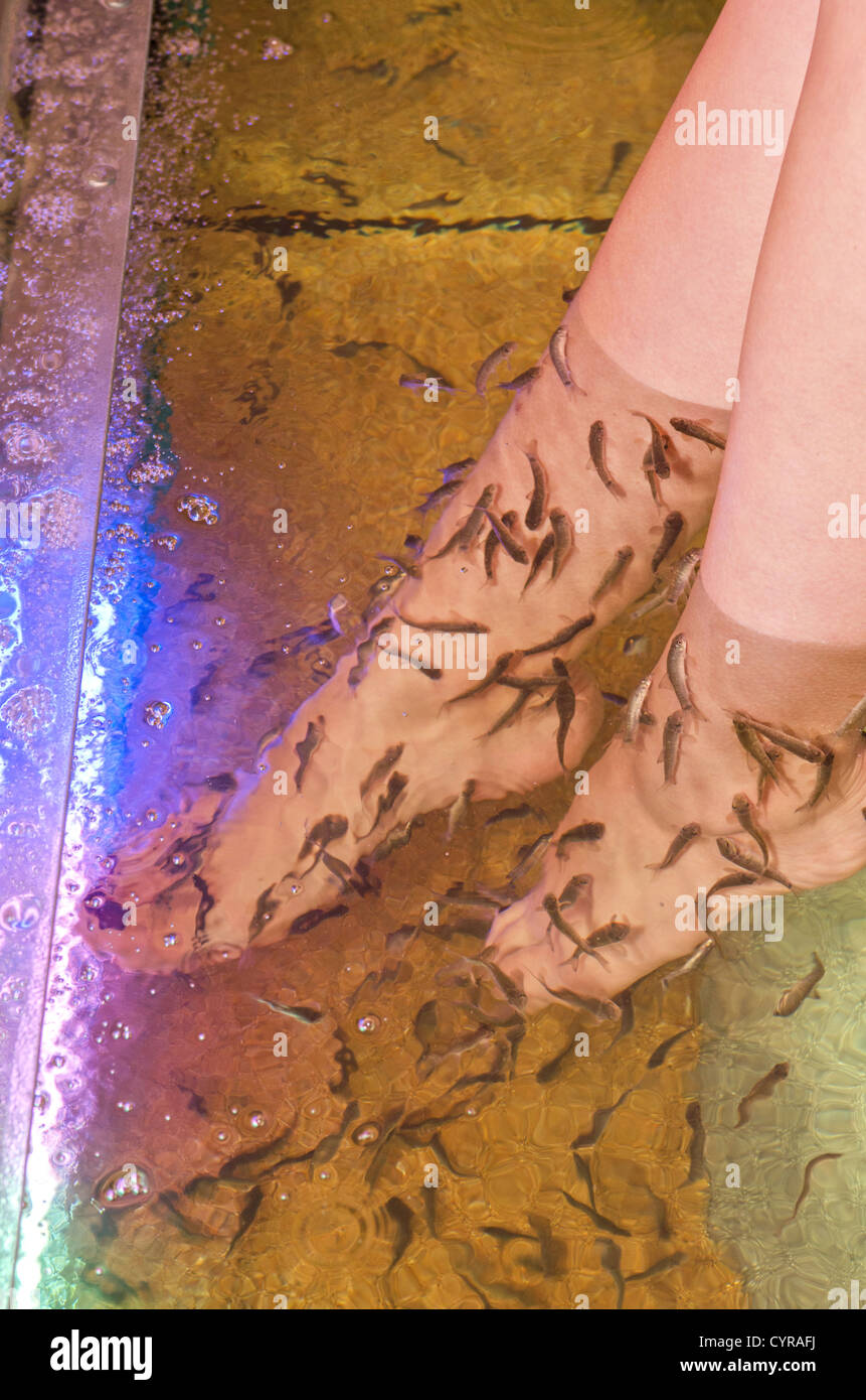 Fish spa pedicure wellness skin care treatment Stock Photo - Alamy