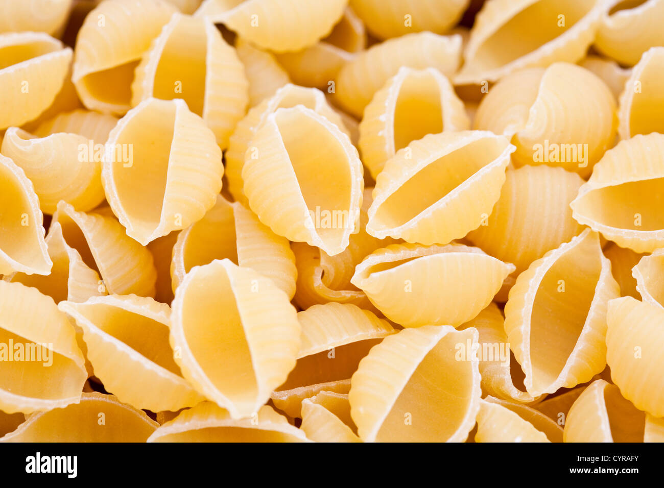 Dried pasta shells Stock Photo - Alamy