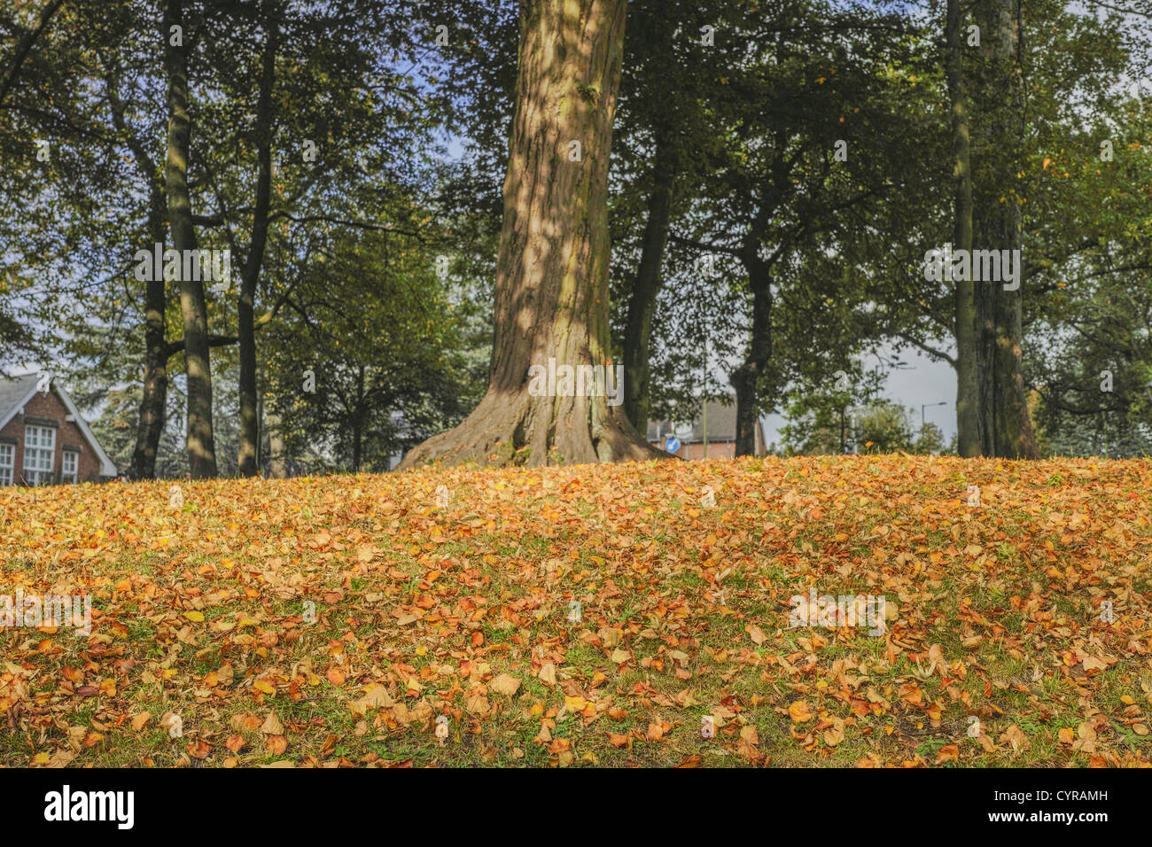 classic english countryside england uk Stock Photo - Alamy