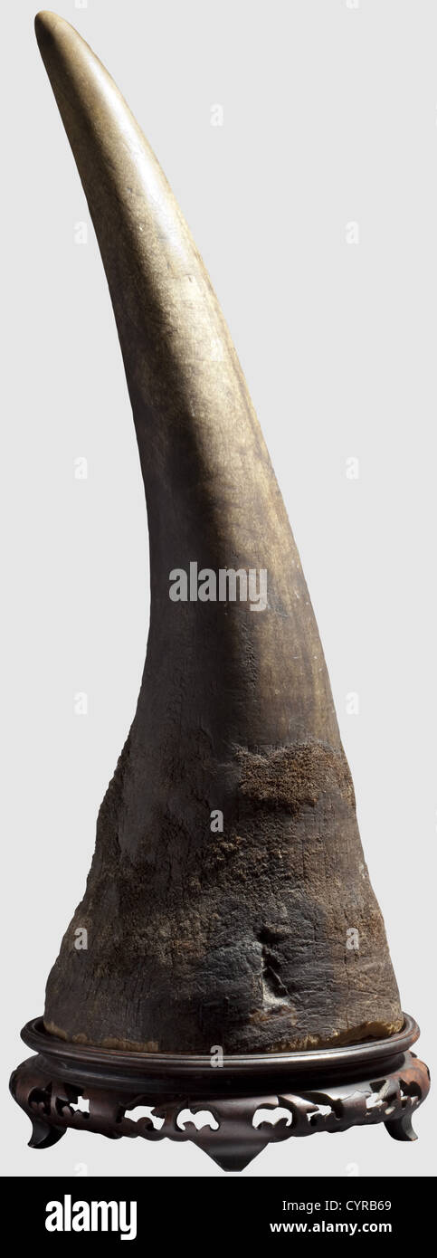 Old hunting horn hi-res stock photography and images - Alamy