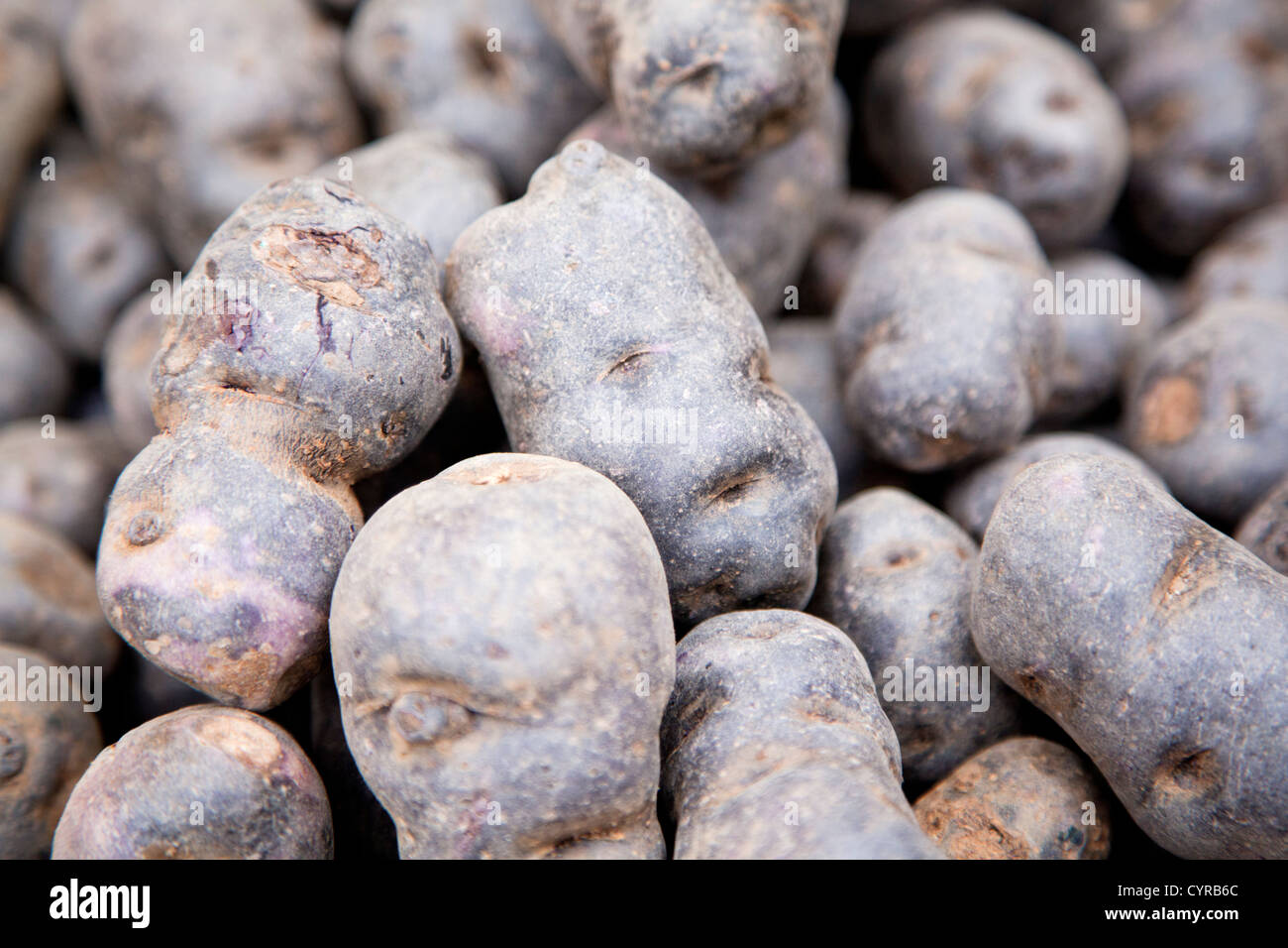Blue potatoes hi-res stock photography and images - Alamy