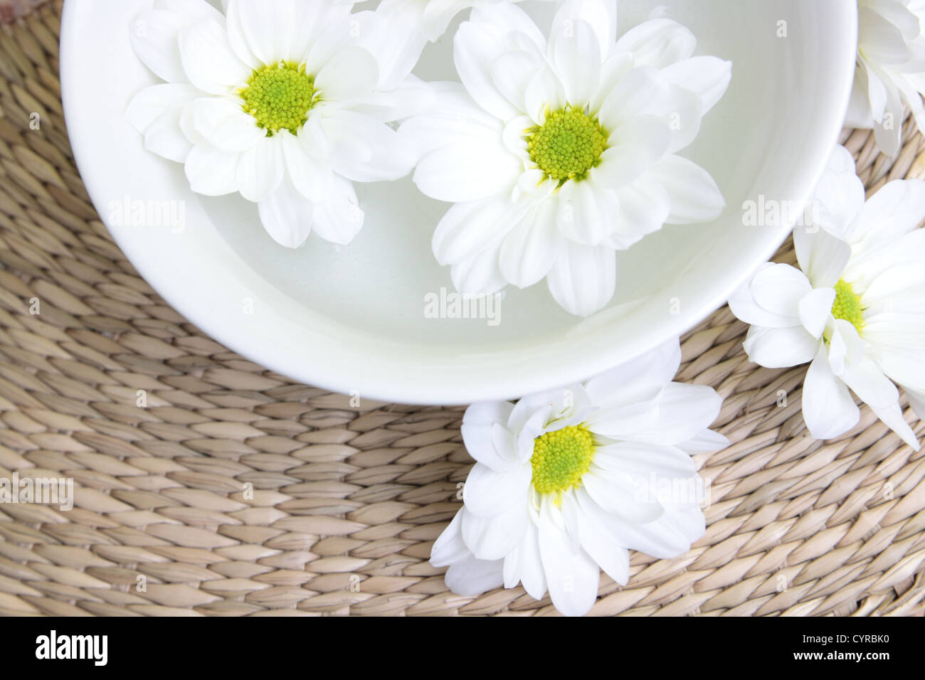 Spa design with herb and daisy Stock Photo - Alamy