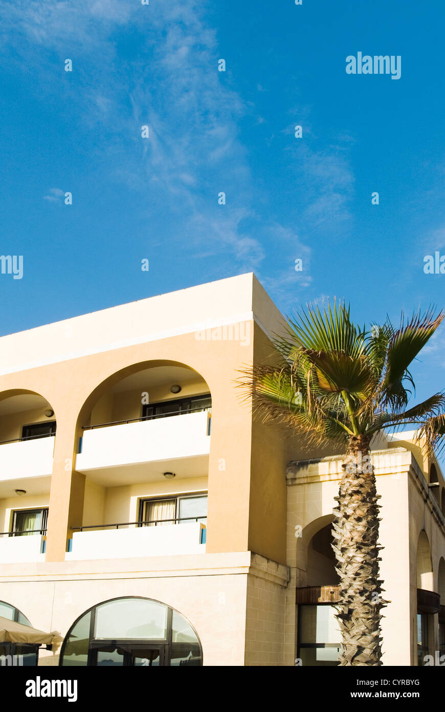 Palm tree in front of a house, Malta Stock Photo - Alamy