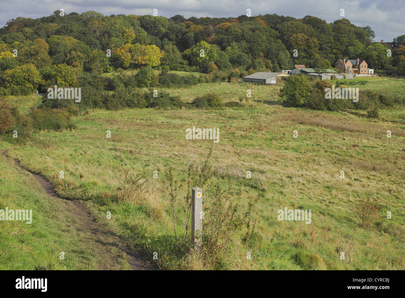 classic english countryside england uk Stock Photo - Alamy