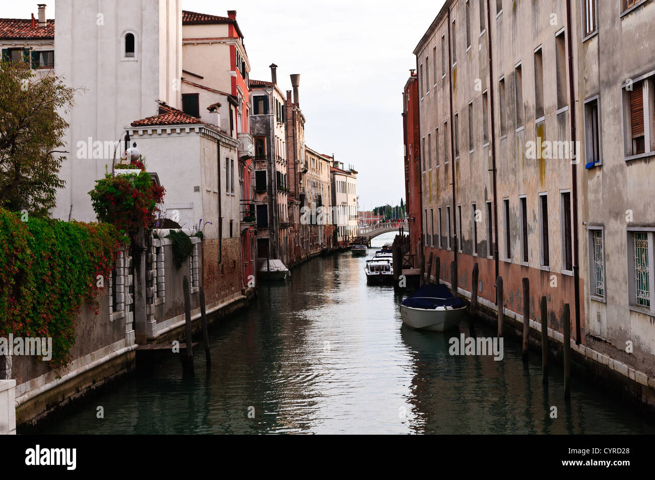 Venice Italy landscape Stock Photo - Alamy
