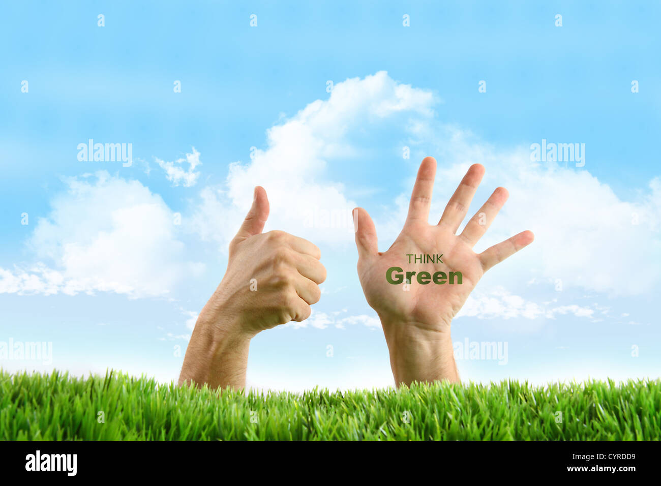 Hands with eco friendly sign in the grass Stock Photo - Alamy
