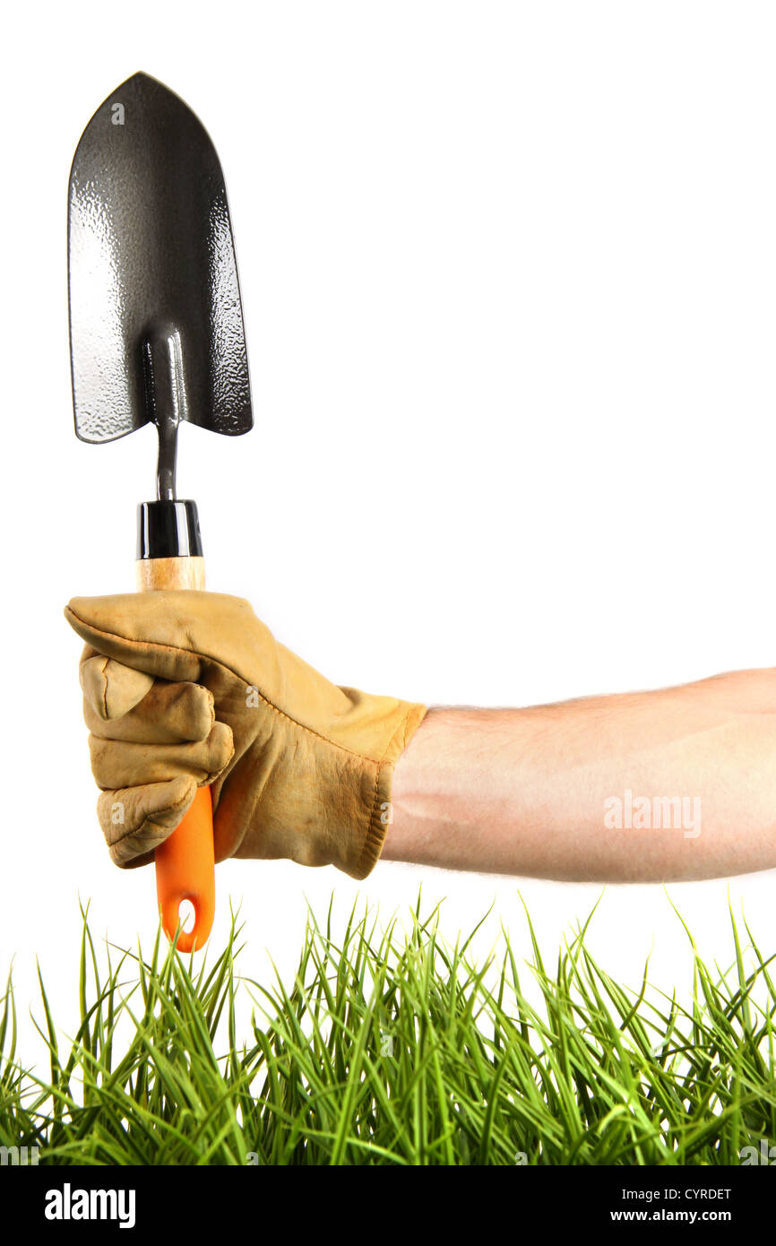 Hand holding garden trowel on white Stock Photo - Alamy