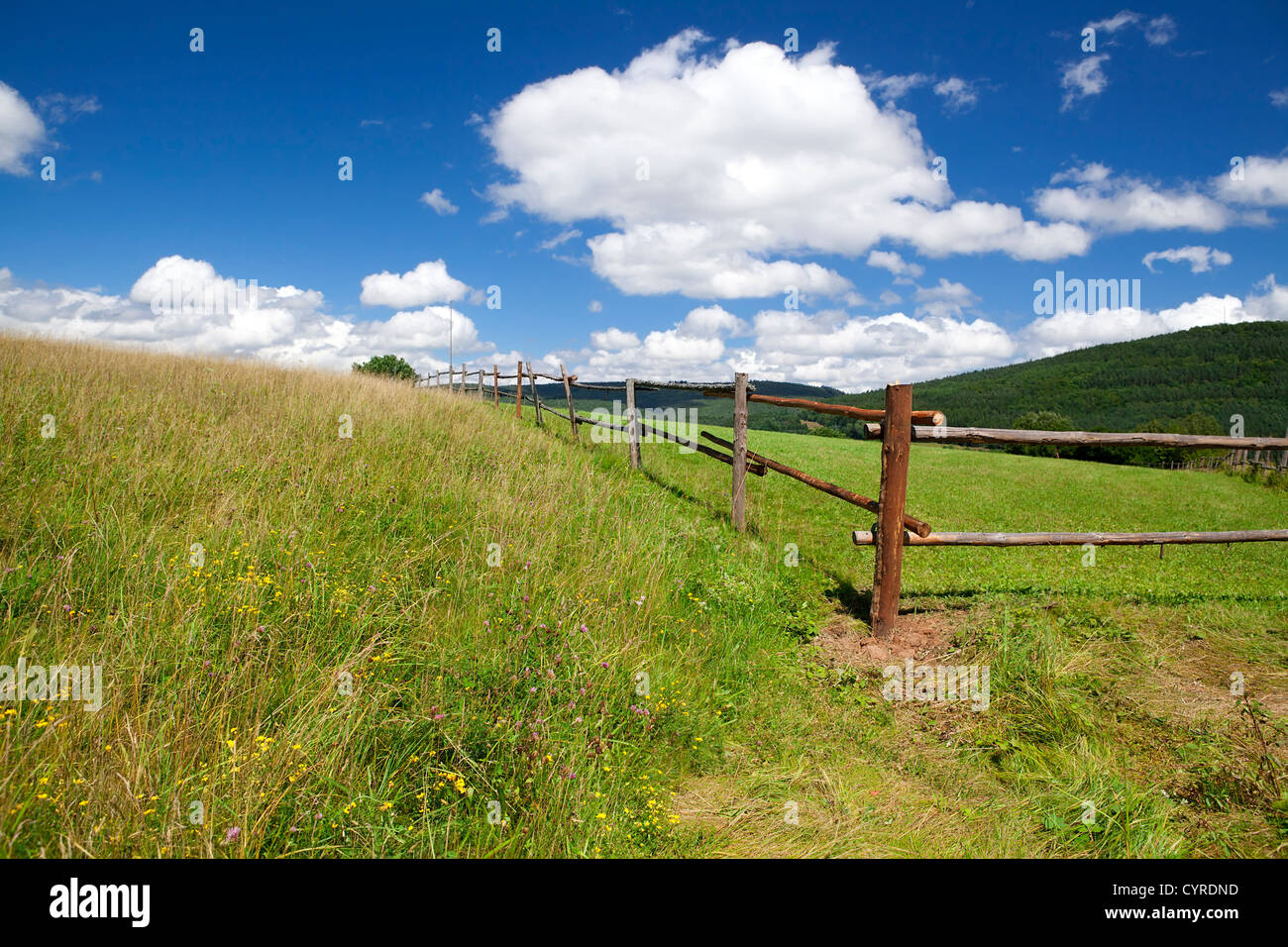 Pasture and wooden fence and sky hi-res stock photography and images ...