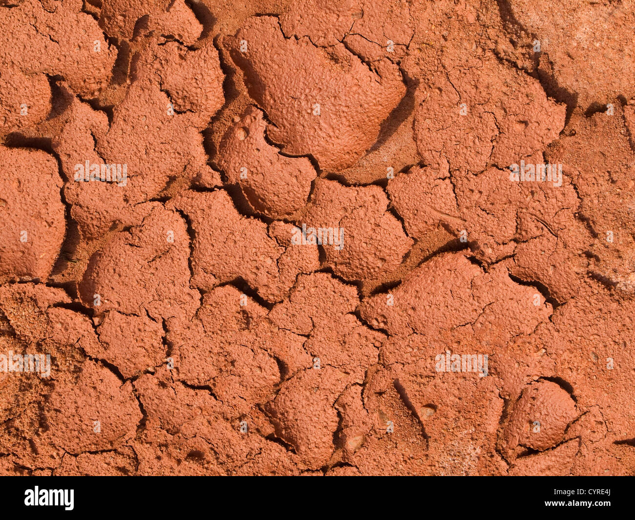 A close up on a piece of a red, arid land Stock Photo - Alamy