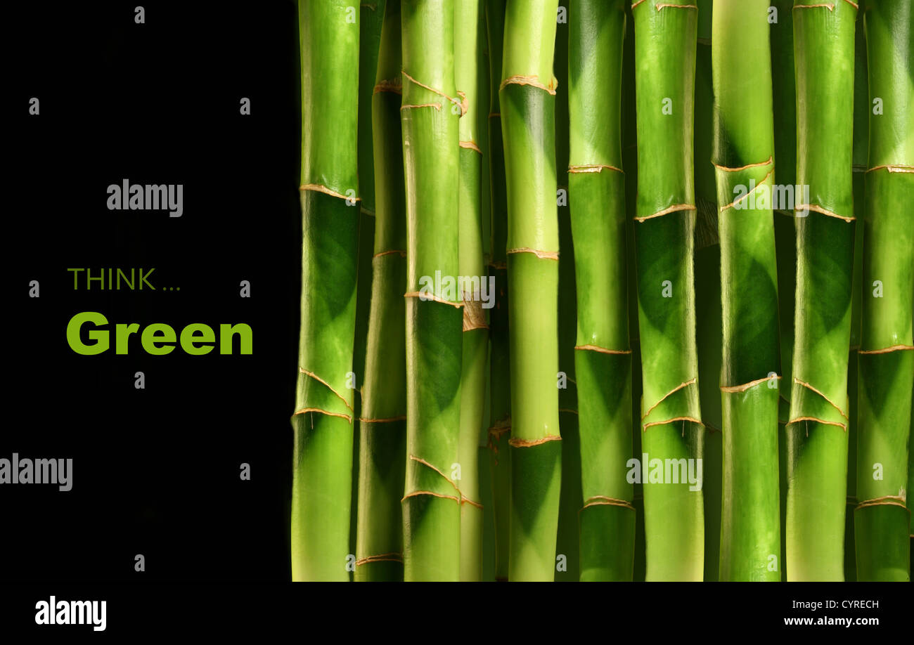 Bamboo shoots stacked side by side Stock Photo - Alamy