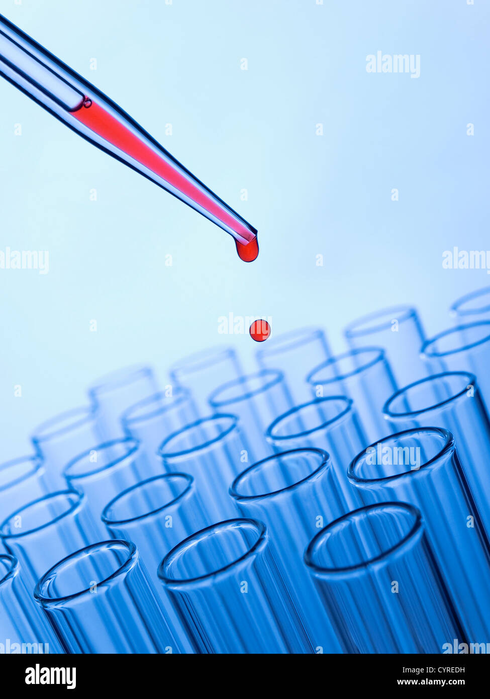 Close up of a pipette dropping a red sample into a test tube Stock ...