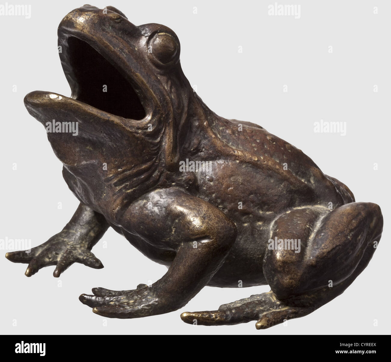 Toad mouth open hi-res stock photography and images - Alamy