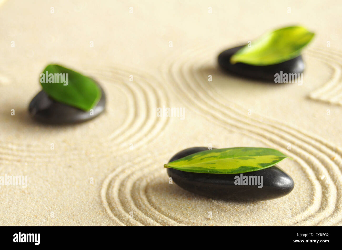 spa still life with zen like stones Stock Photo - Alamy