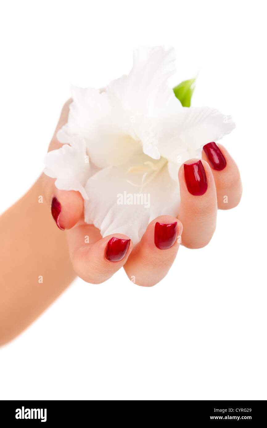 Nails spa Cut Out Stock Images & Pictures - Alamy