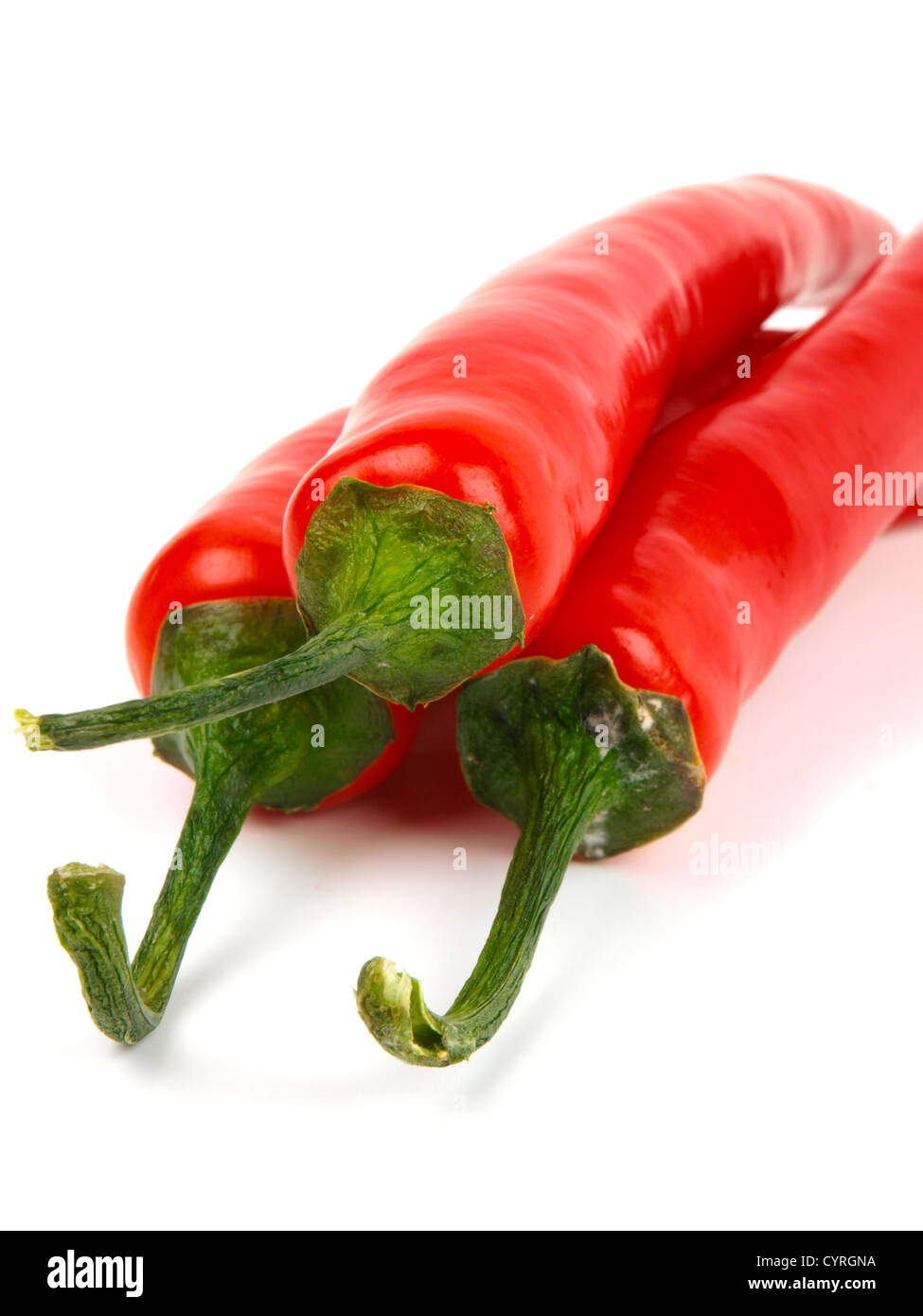 Red chili pepper. Close up. White background Stock Photo - Alamy
