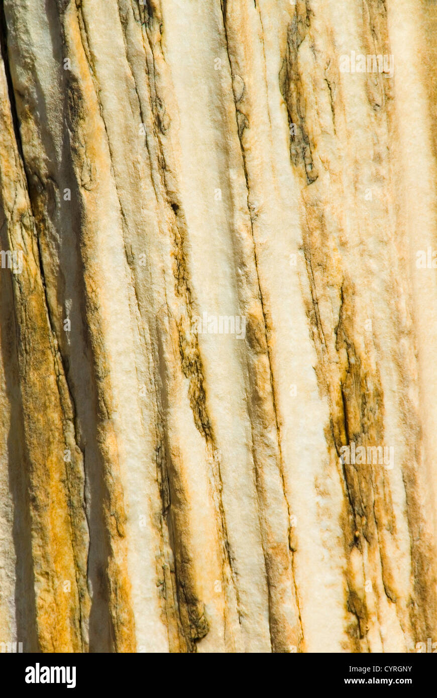 Details ionic capital column hi-res stock photography and images - Alamy