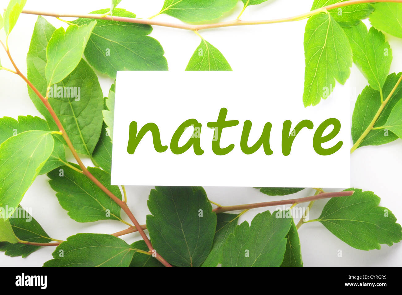 nature concept with word on nature still life Stock Photo - Alamy