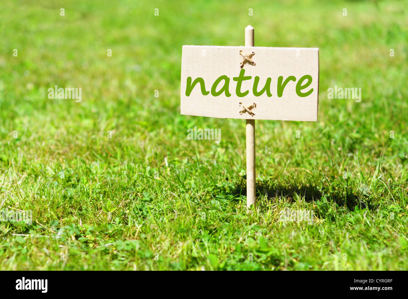 nature concept with word on nature still life Stock Photo - Alamy