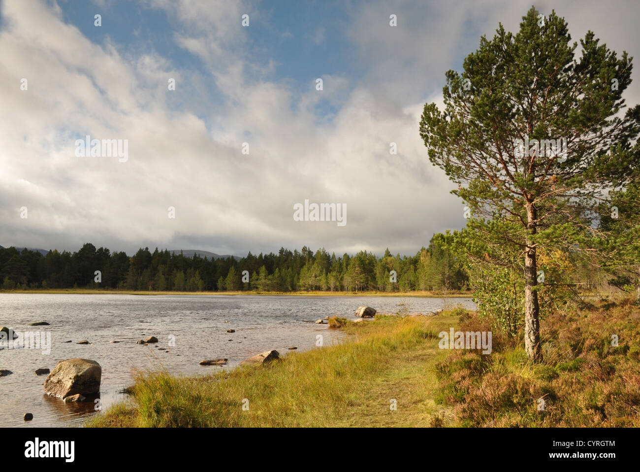 Loch morlich landscape hi-res stock photography and images - Alamy