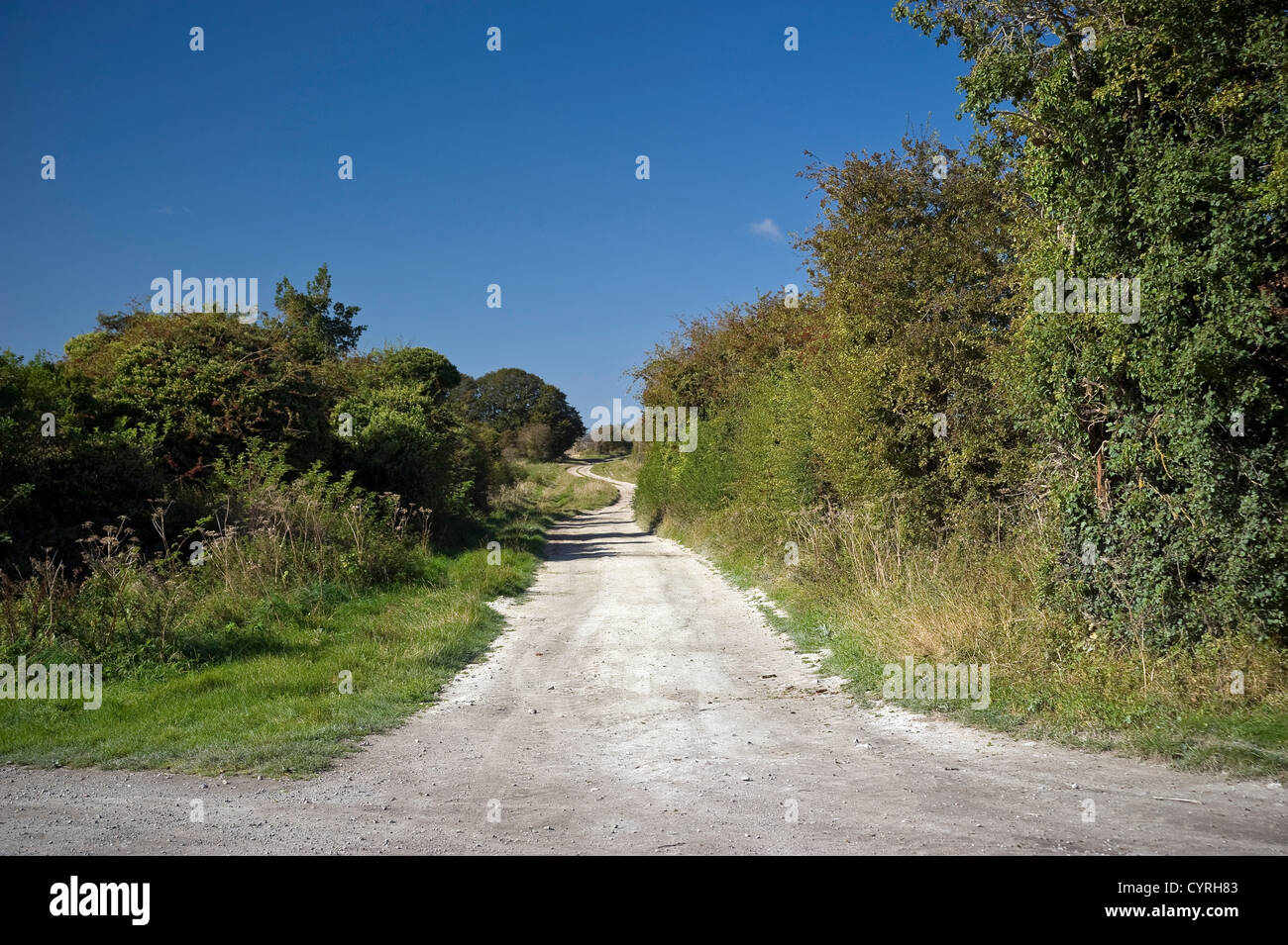 The Ridgeway National Trail near Segsbury Camp, Oxfordshire, UK Stock ...