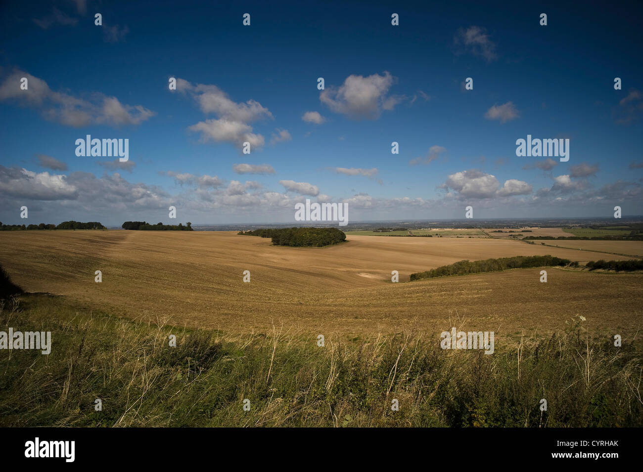 The Ridgeway National Trail near Pewit Farm, Oxfordshire, UK Stock ...
