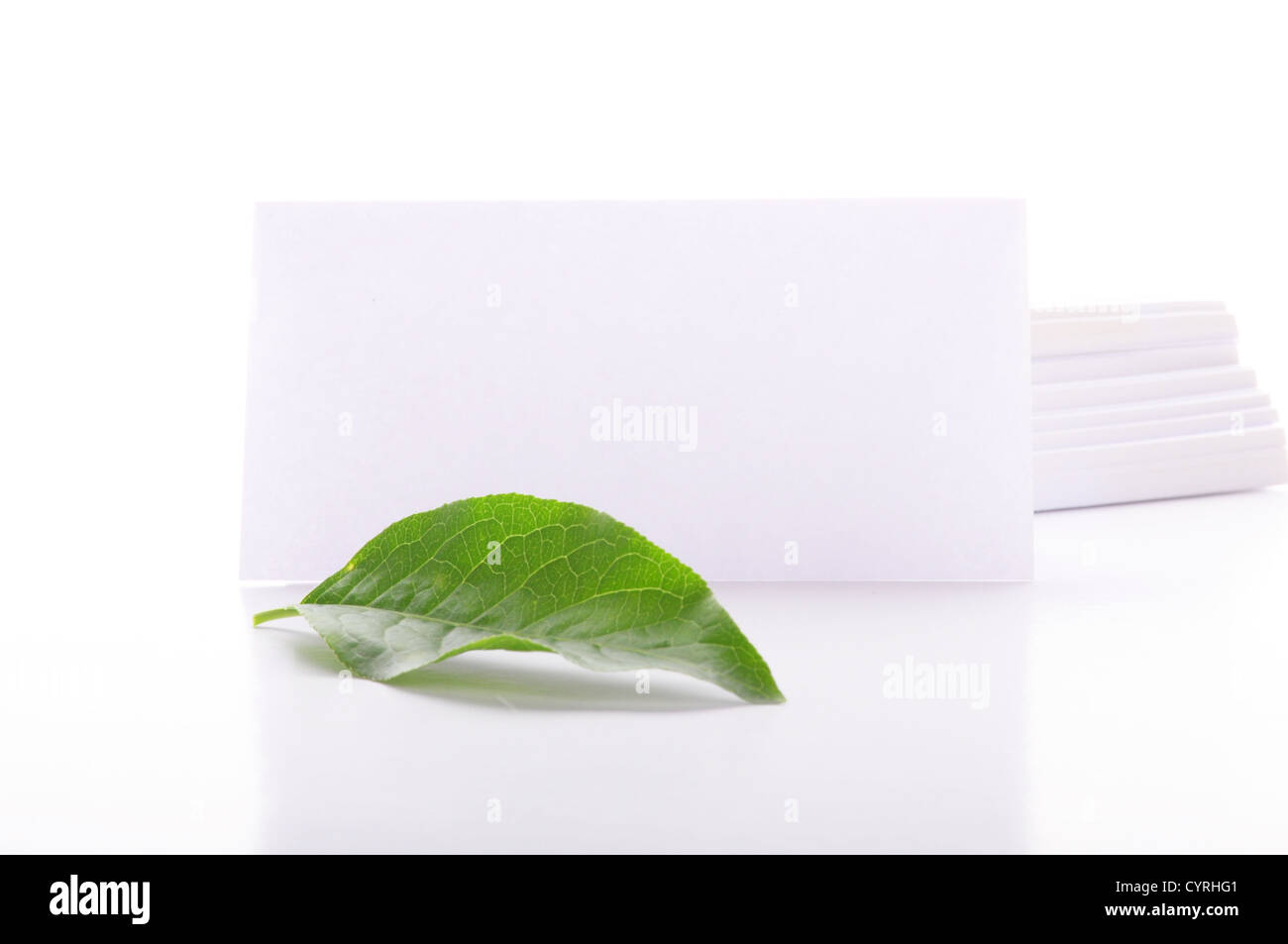 blank or empty sheet of paper with green nature leaf Stock Photo - Alamy
