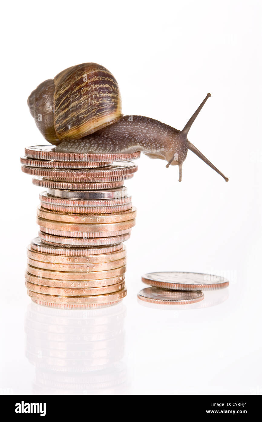 Funny snail sitting on a stack of dollar coins Stock Photo - Alamy