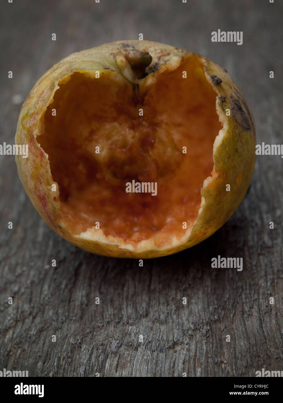 Rotten apple inside hi-res stock photography and images - Alamy