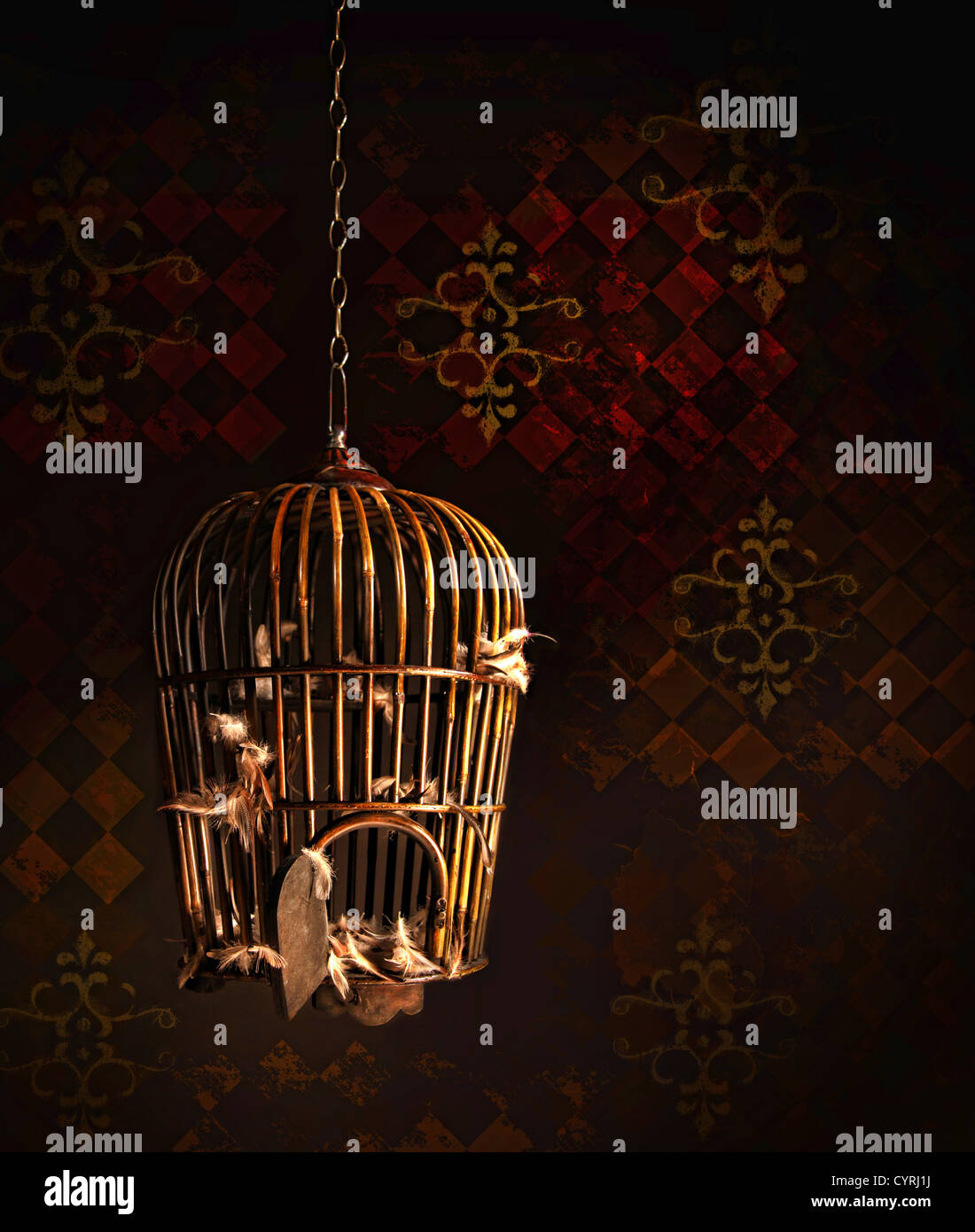 Bird cage open door hi-res stock photography and images - Alamy