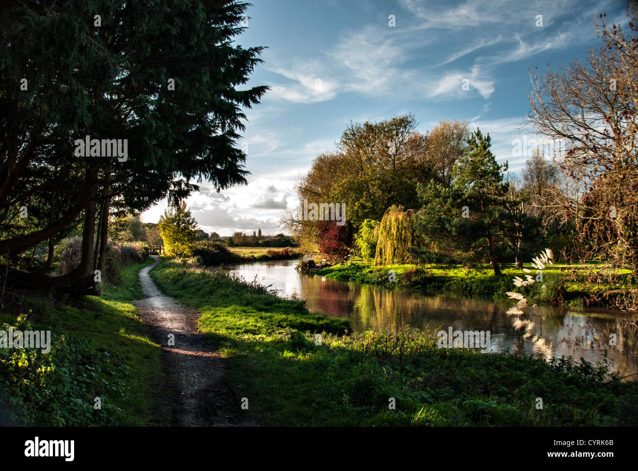 Riverside with trees hi-res stock photography and images - Alamy