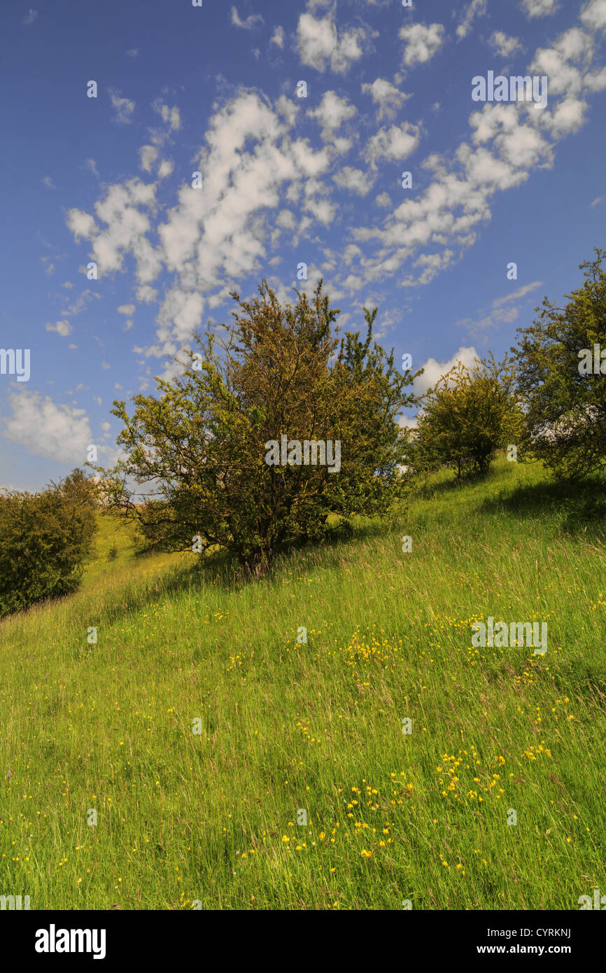 Classic english scene hi-res stock photography and images - Alamy