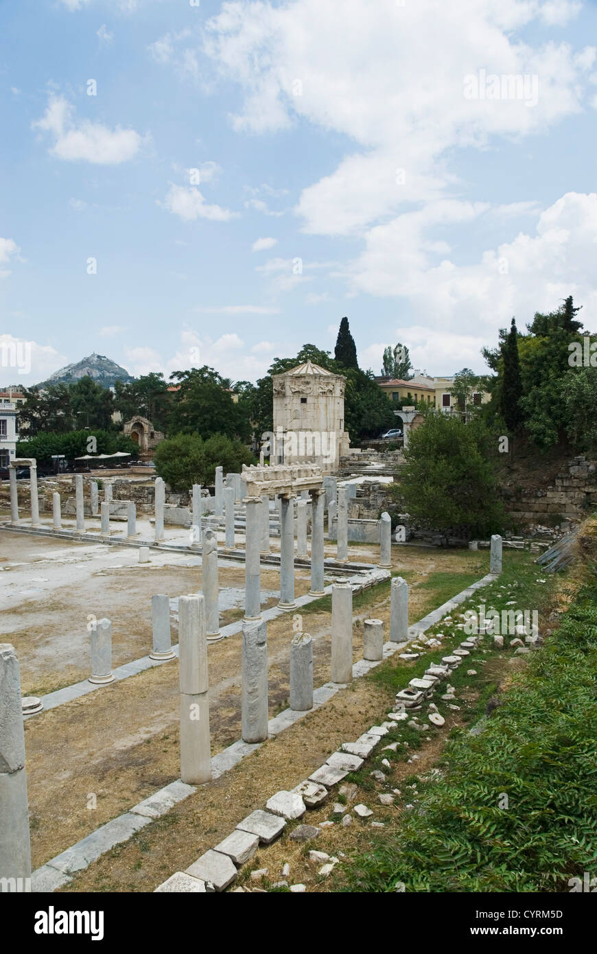 Columns in the courtyard with tower in the background, Tower of The ...
