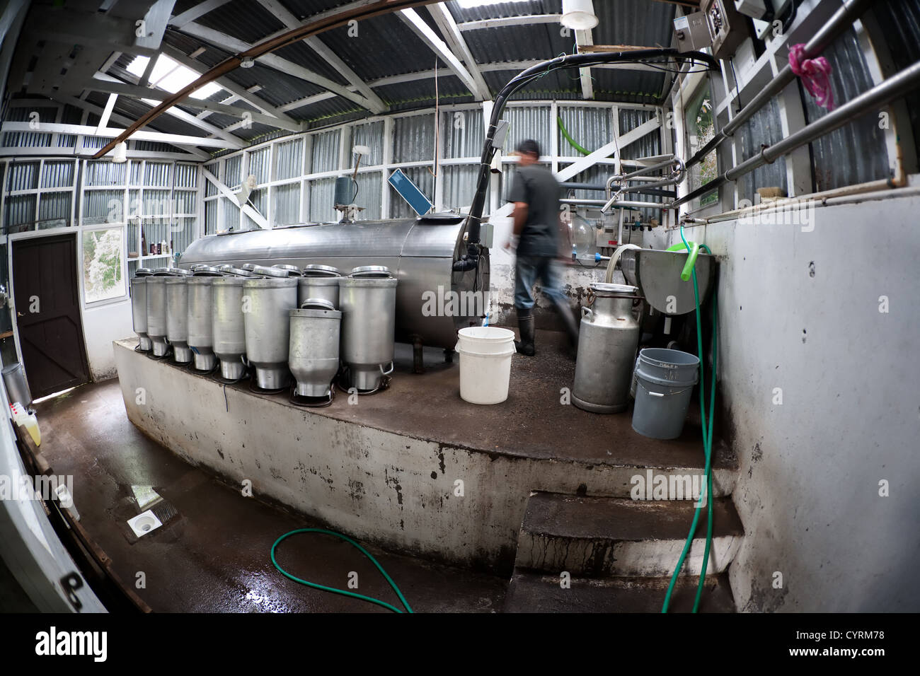 Dairy operation hi-res stock photography and images - Alamy
