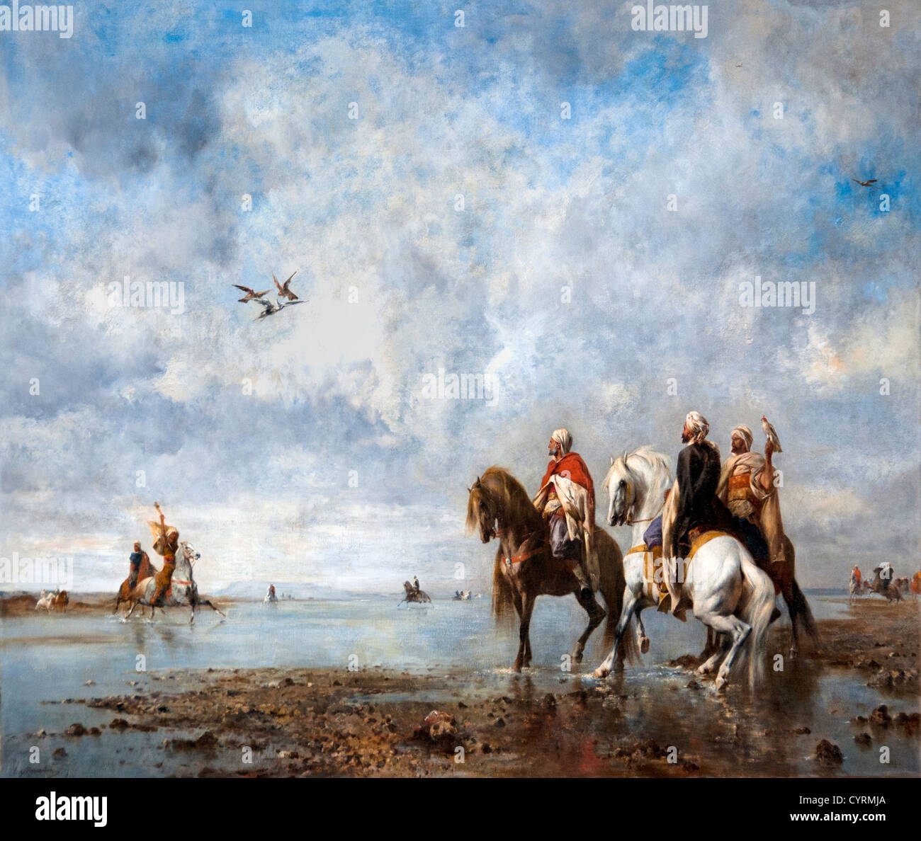 Falcons hi-res stock photography and images - Alamy