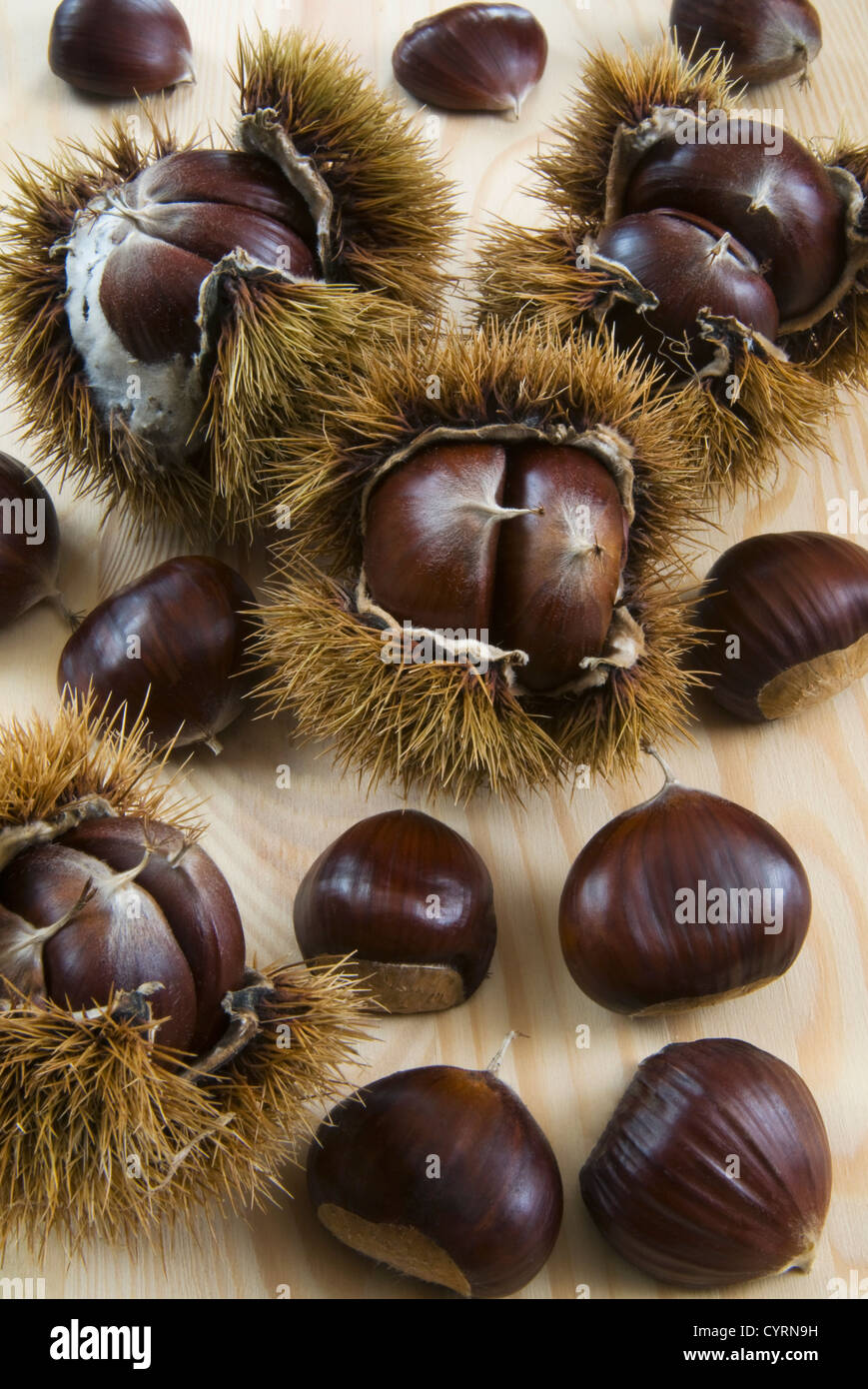Sweet Chestnuts with and without the spiny shell Stock Photo - Alamy