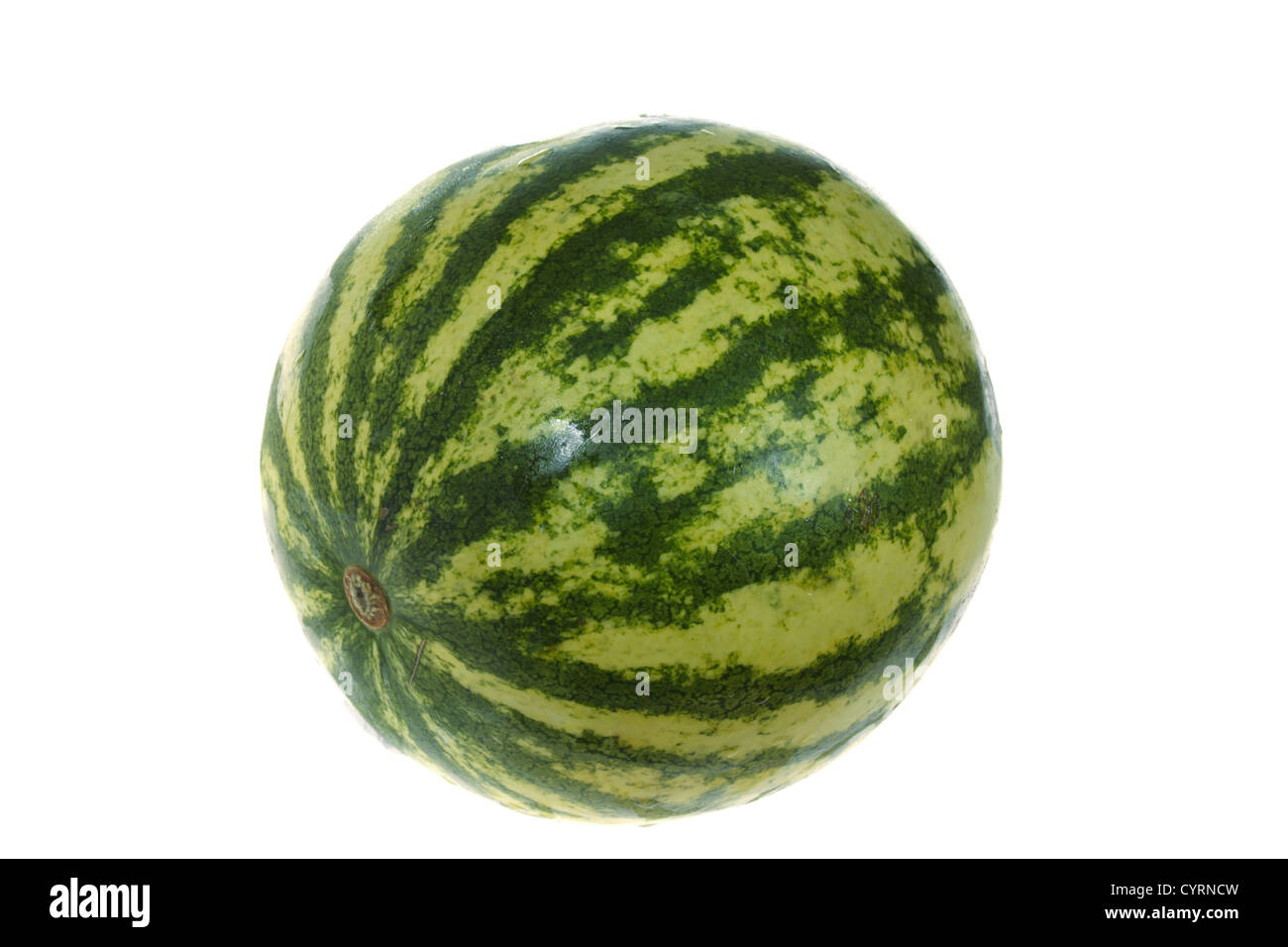 one Watermelon, photo on the white background Stock Photo - Alamy