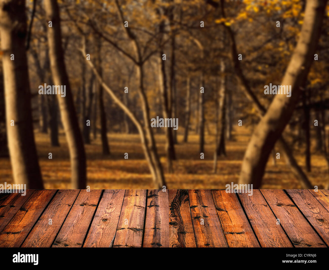 Beautiful autumn forest and wood floor background Stock Photo - Alamy