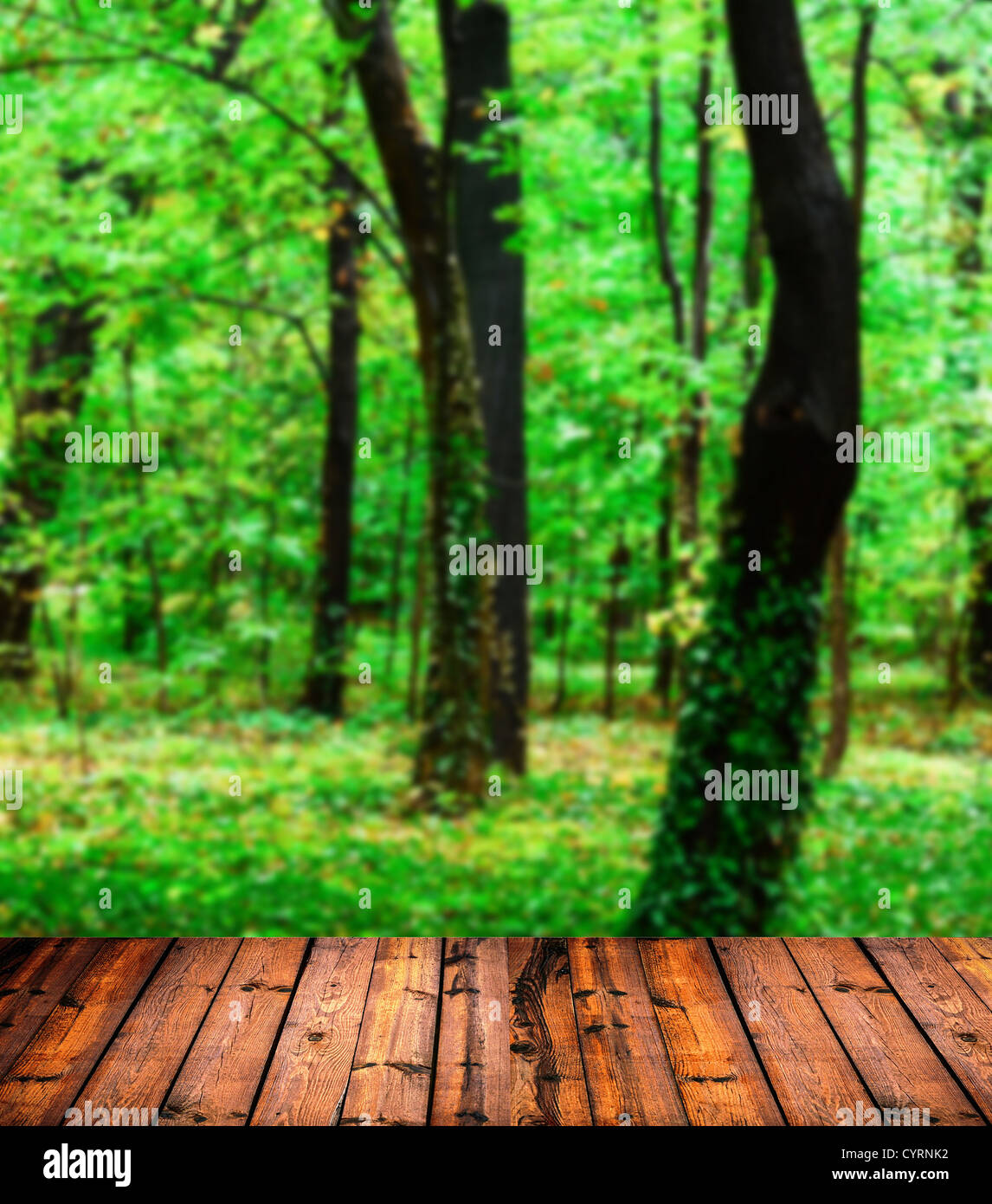 Beautiful forest and wooden floor background Stock Photo - Alamy