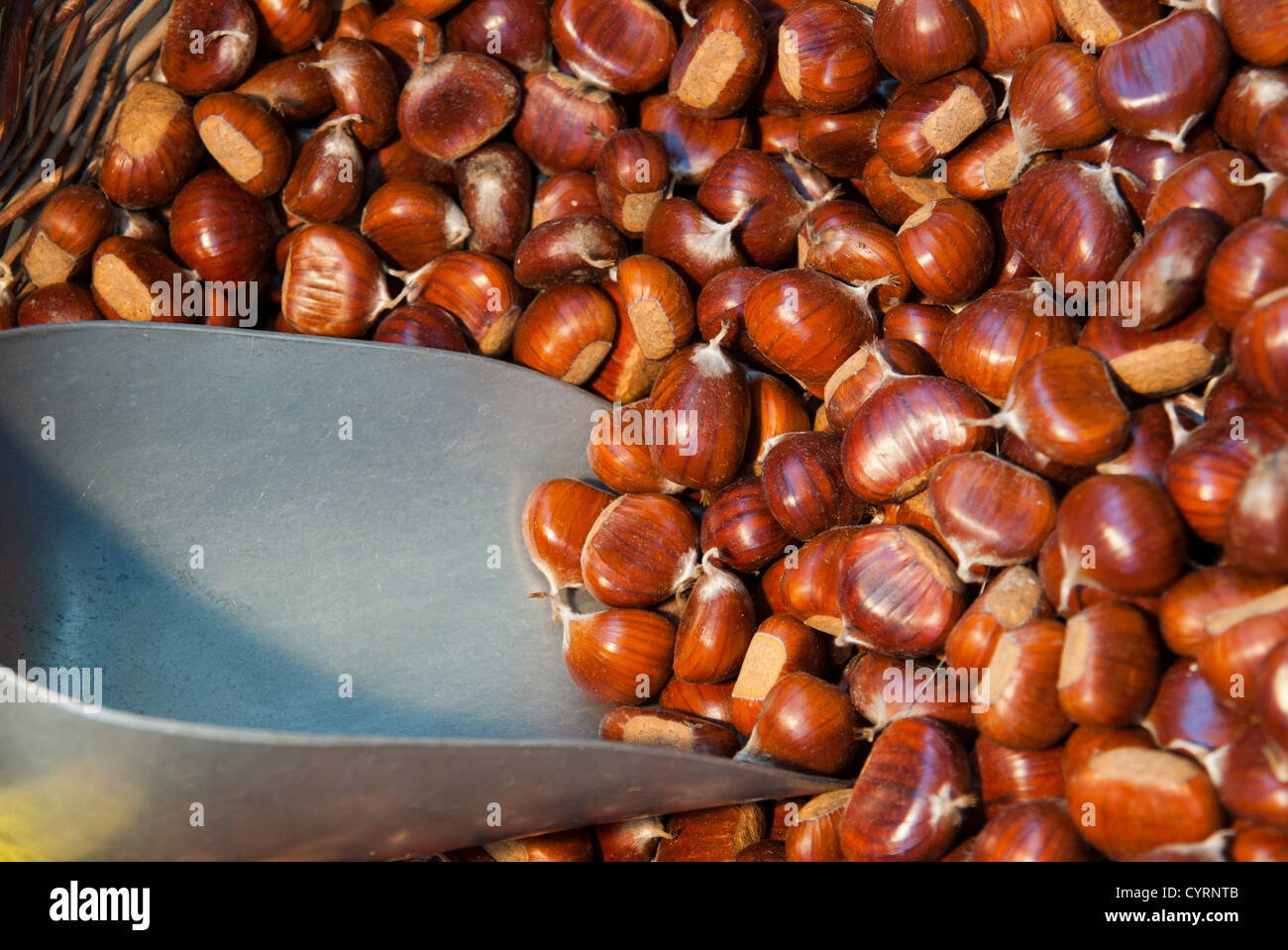 Chestnuts colour hi-res stock photography and images - Alamy