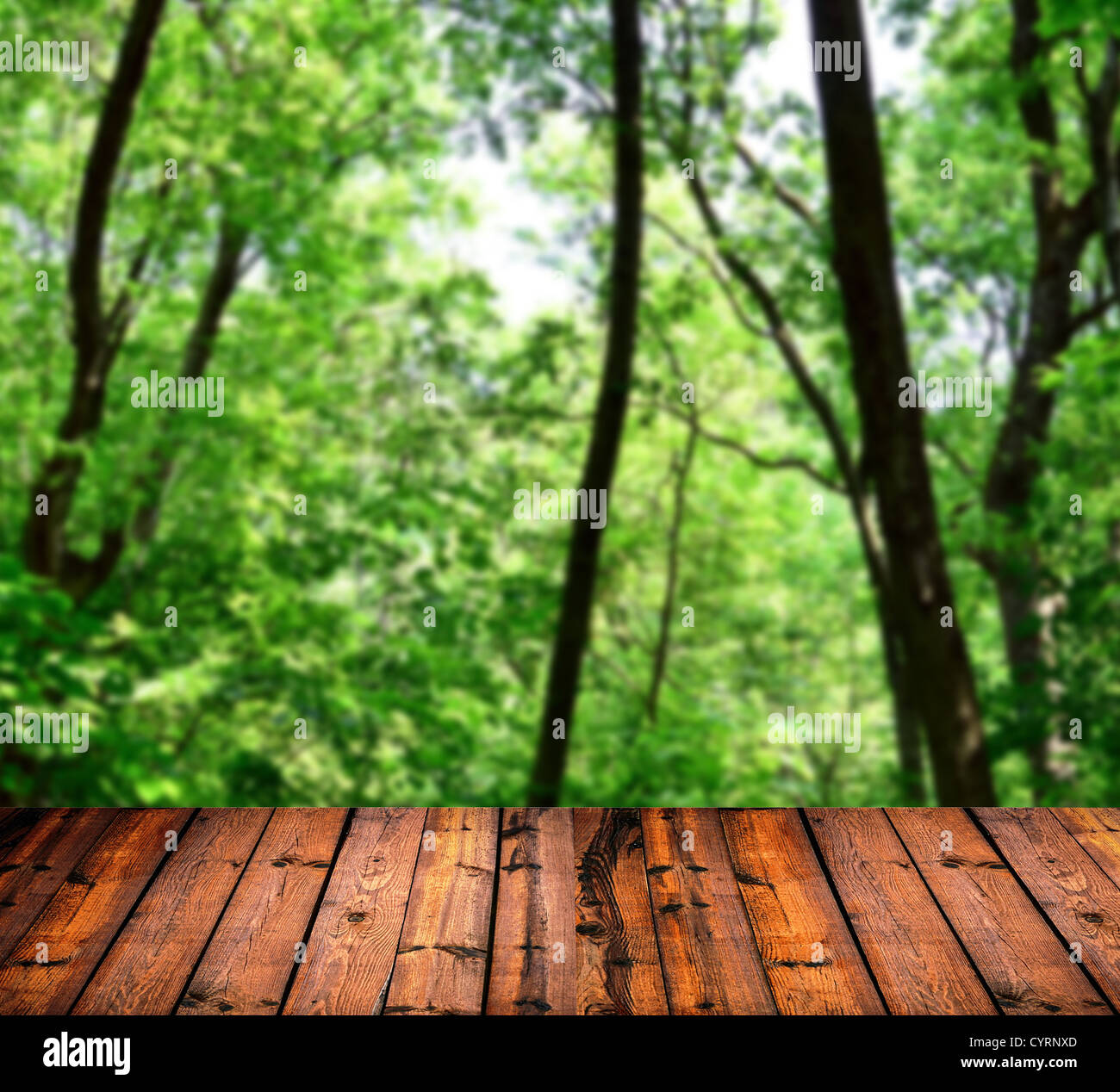 Beautiful green forest with wood planks floor Stock Photo - Alamy