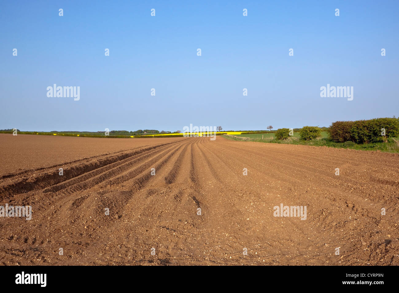 An agricultural landscape with patterns and textures of soil cultivated ...