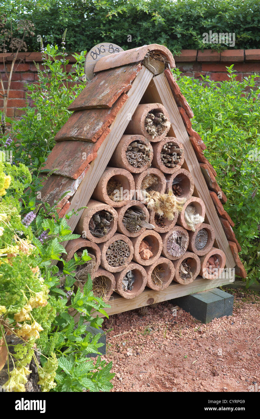 Insect house hi-res stock photography and images - Alamy