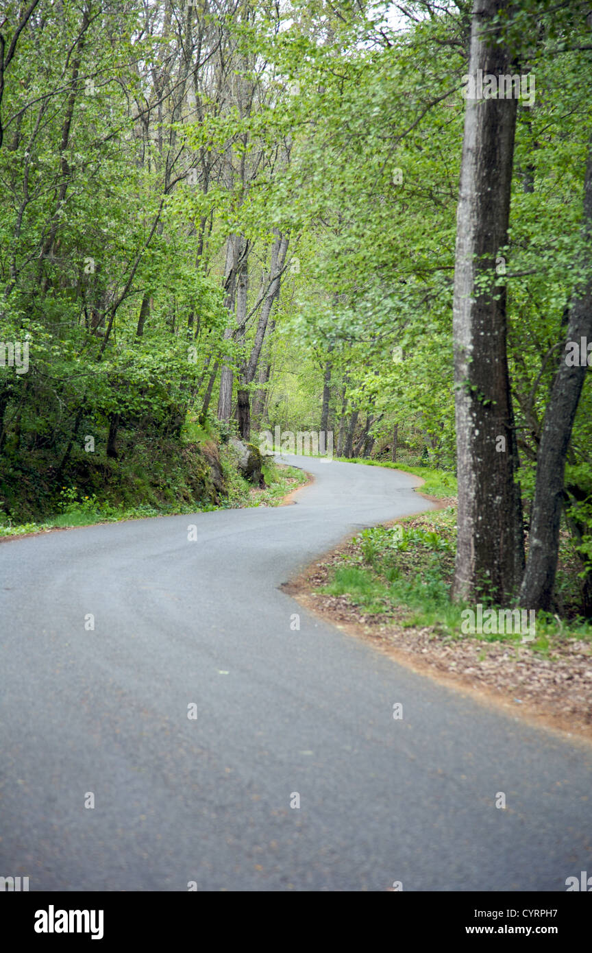 small road through the trees in arenas village spain Stock Photo - Alamy