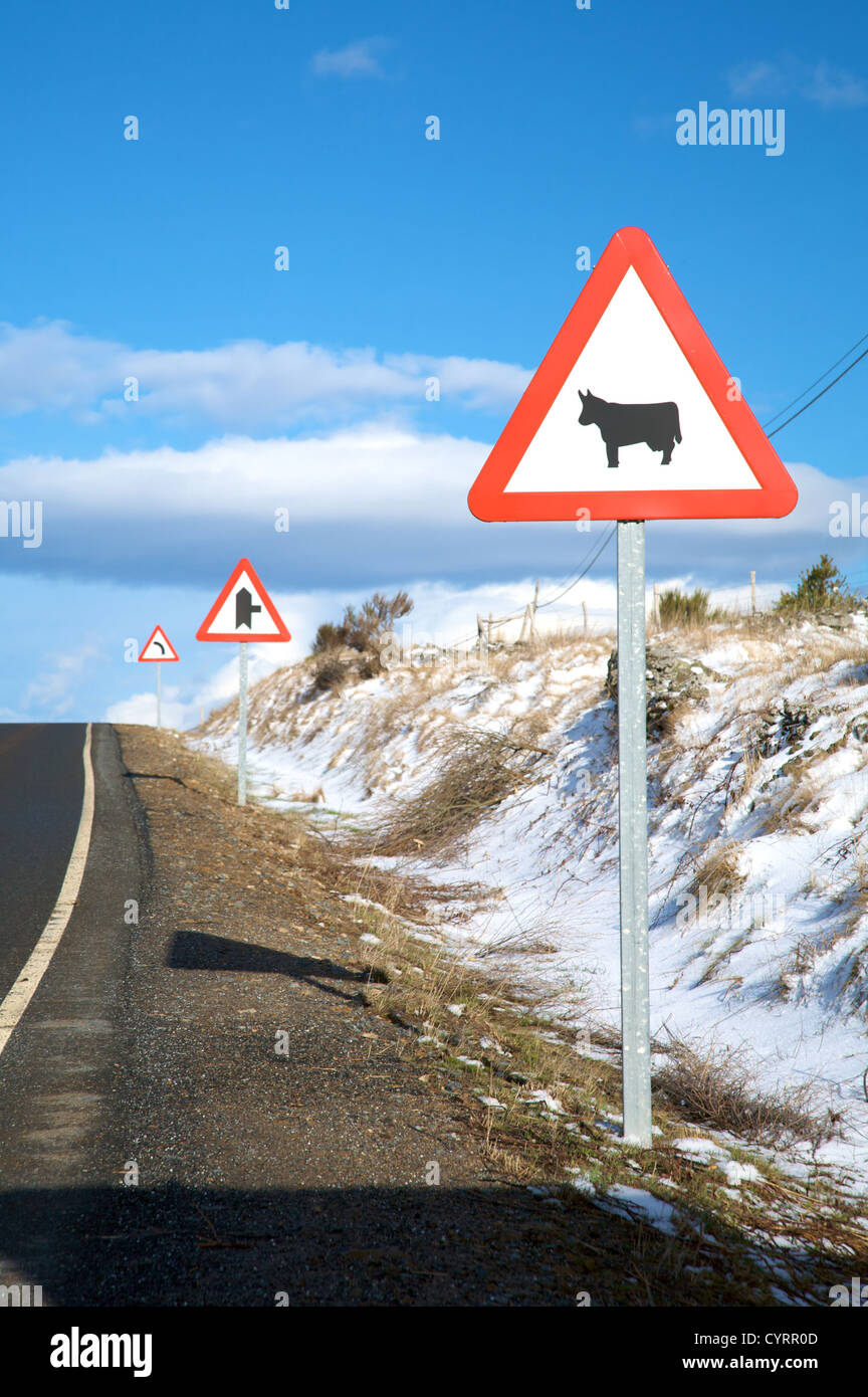Animal road signs hi-res stock photography and images - Alamy
