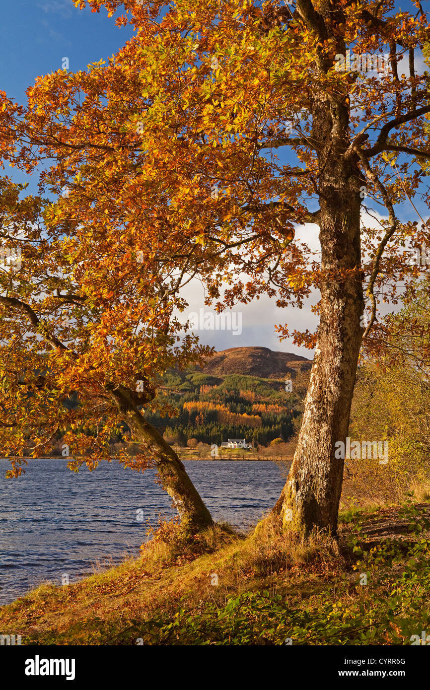 Loch chon trossachs scotland hi-res stock photography and images - Alamy